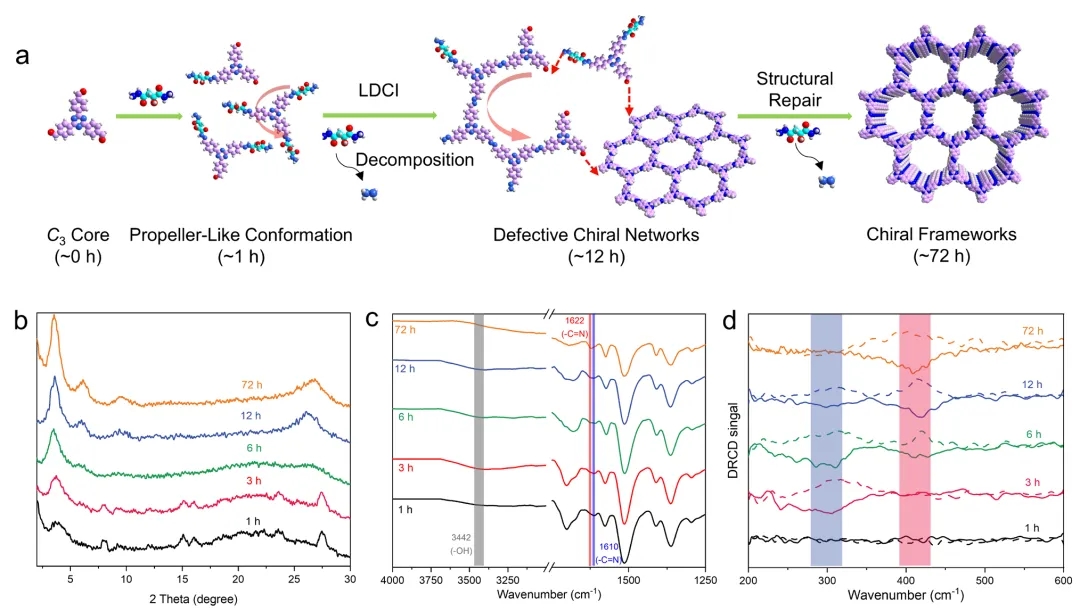 华南师大蔡松亮、港大 C-L Tan，港城大张其春Angew:通过连接基分解手性诱导策略构建手性共价有机骨架用于圆偏振光检测