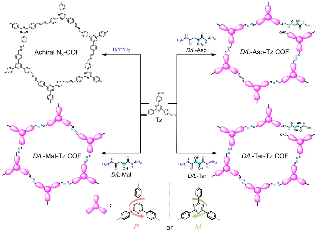 华南师大蔡松亮、港大 C-L Tan，港城大张其春Angew:通过连接基分解手性诱导策略构建手性共价有机骨架用于圆偏振光检测